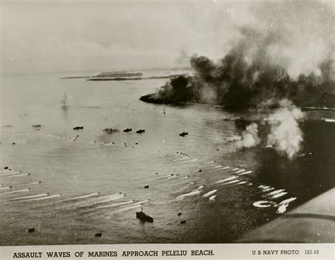 What Is Peleliu Like Today - Creative Spark