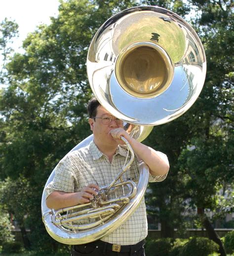 Mastering the Tuba Musical Instrument: Unleashing Unique Sounds ...